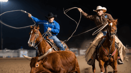 NFR Round 8 Winners Crowned Last Night, Wade and Thorp's World-Record ...
